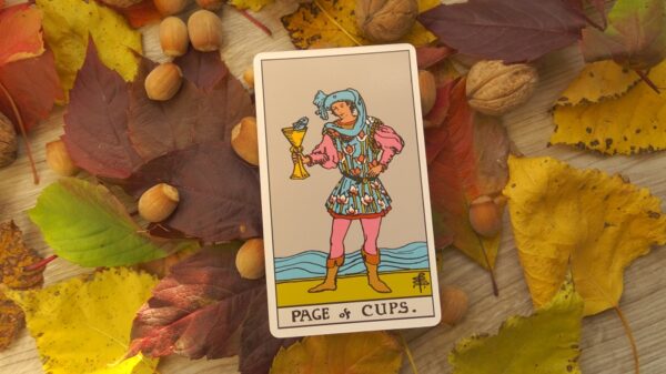 Page of Cups Tarot Card Meanings - Esoteric Hut